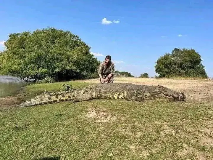 Bravery and closure: SAPS recover human remains from crocodile in ...